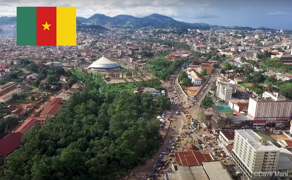 Driving Tips and Regulations in Cameroon