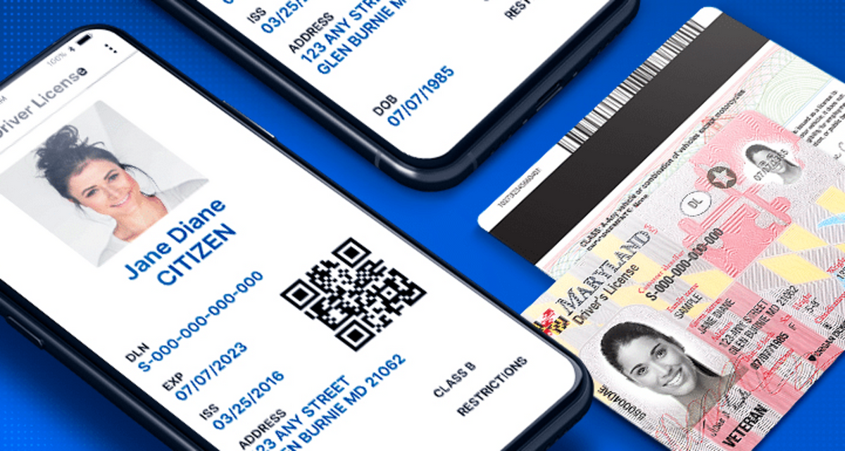 Driving with a Photo of Your License: Traveler’s Guide