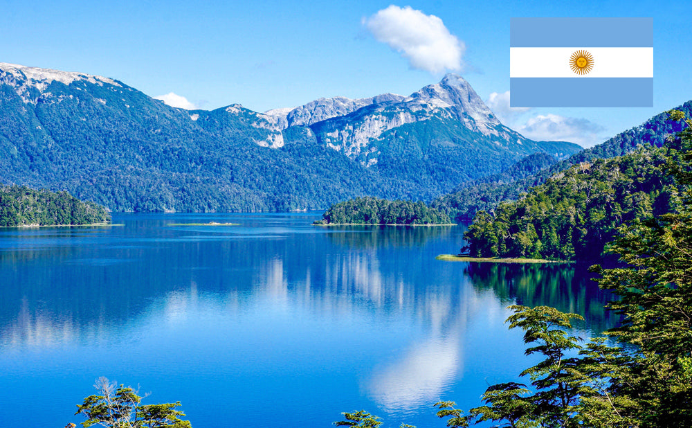 International Driver's Permit in Argentina