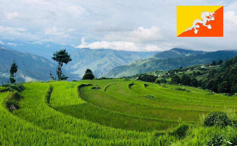 The International Driving License in Bhutan