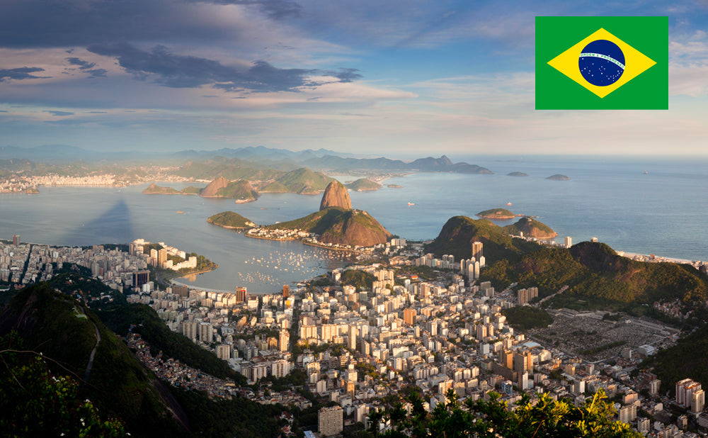 International Driving License in Brazil