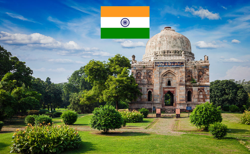 The International Driver's License in India