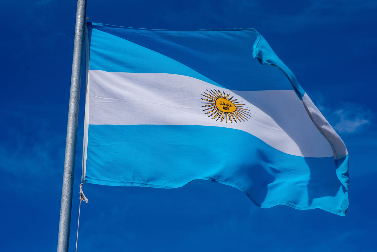Driving in Argentina: Rules, Tips & Guide for International Travelers